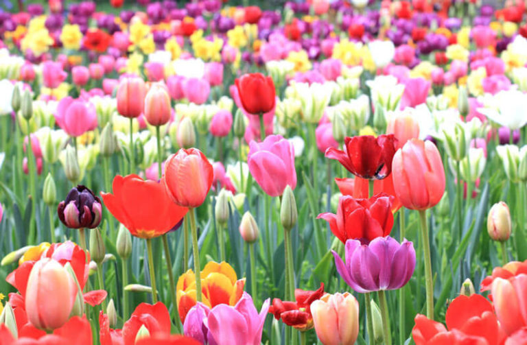 25 amazing springtime city break ideas