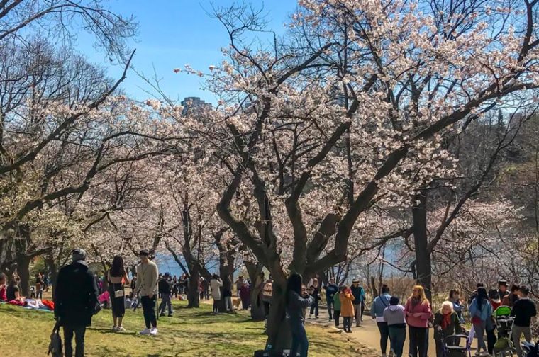 25 amazing springtime city break ideas