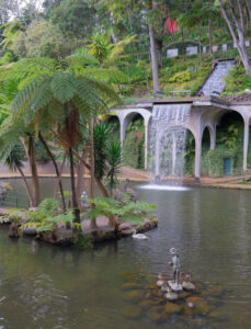 Visiting Madeira: 13 top tips for your trip – Helen on her Holidays